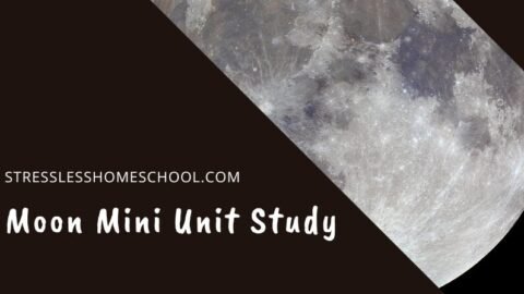 Moon Unit Study | Stressless Homeschool